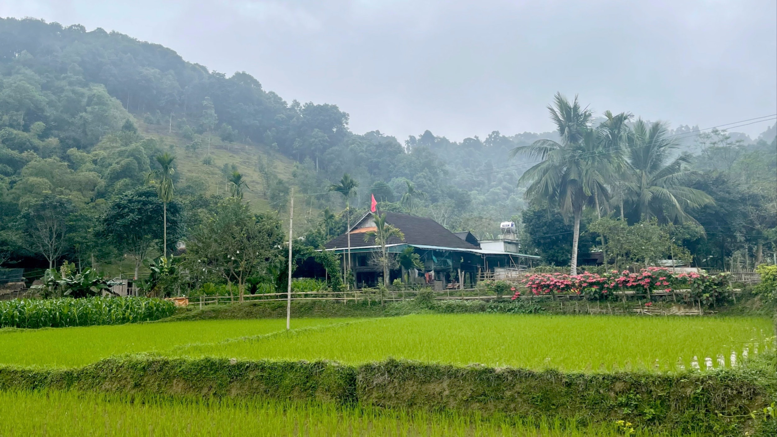 Trước thềm Xuân, nghe chuyện người Đan Lai đổi mới