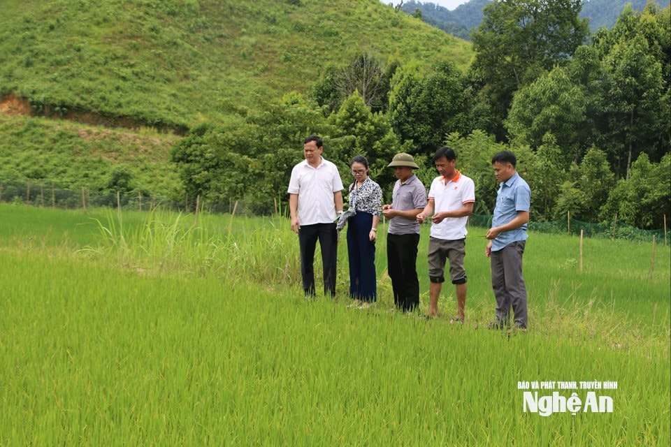 提升村、乡、公社干部队伍建设——从基层构建强大的政治体系 第三部分：新的背景和问题