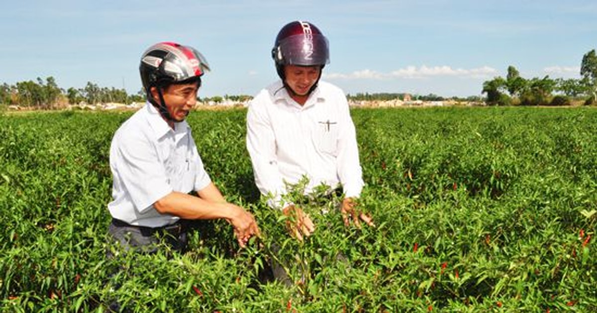 Khí thế mới sau đại hội cấp cơ sở