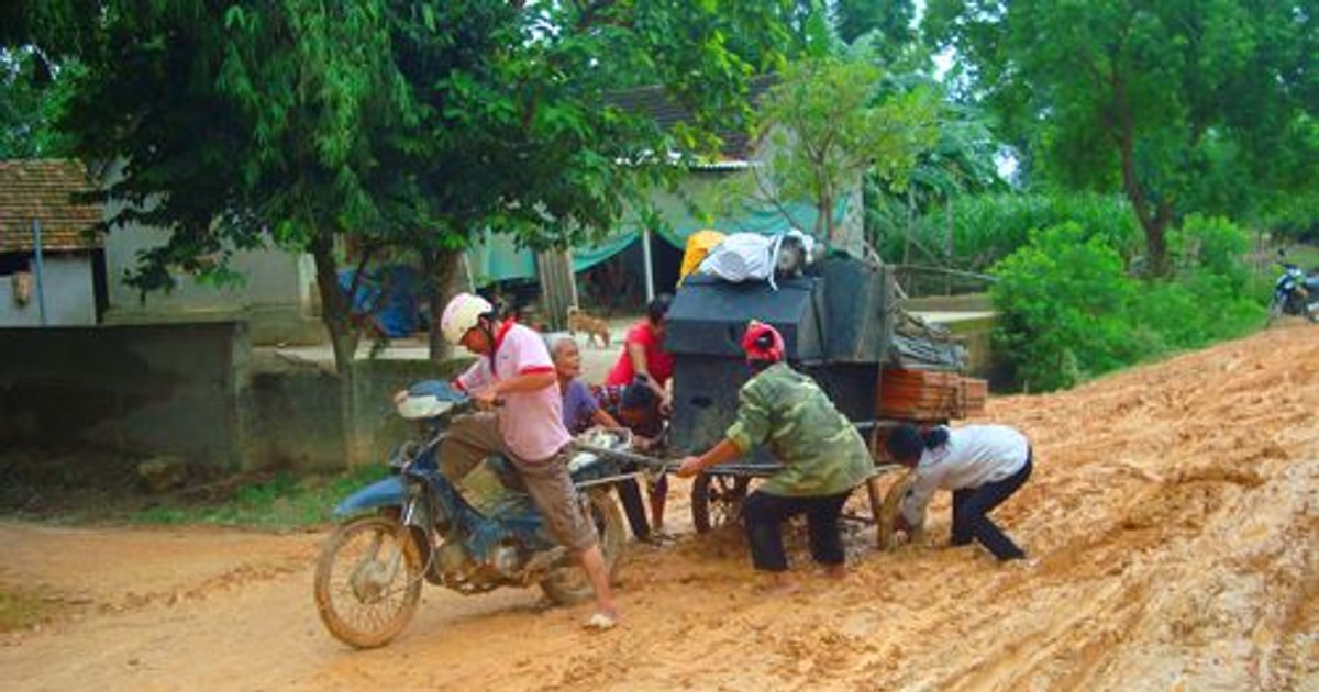 Ảnh dự thi khoảnh khắc vàng