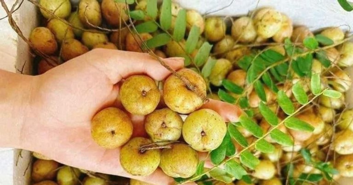 Mắc kham gây sốt ‘chợ mạng’, giá bán đắt gấp đôi