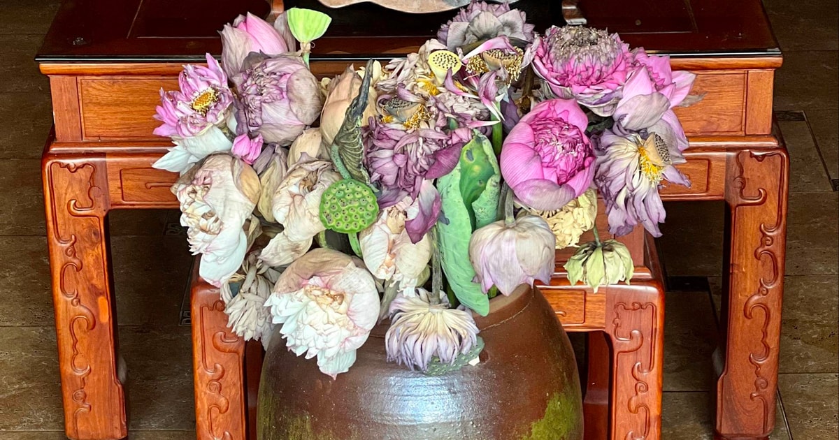 Hồn và vẻ đẹp của sen tàn