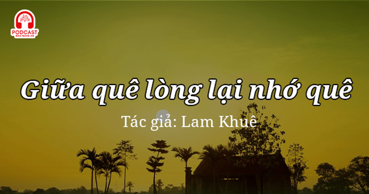 Tản văn hay: Giữa quê lòng lại nhớ quê