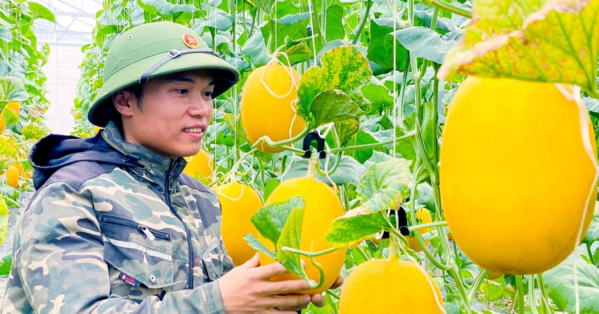 Phát triển mô hình kinh tế tuần hoàn trong xây dựng nông thôn mới ở Nghệ An