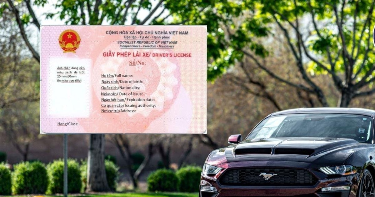 Restrictions and Restriction Codes of the Latest Driver's License 2025