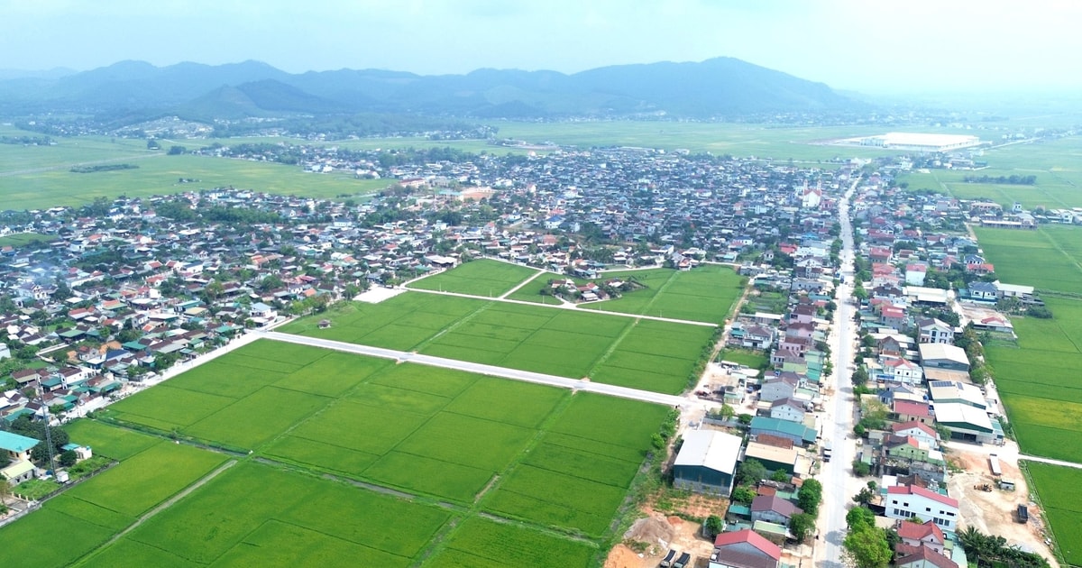 Two-tier government: Livestock farmers benefit as commune chairman gets ...