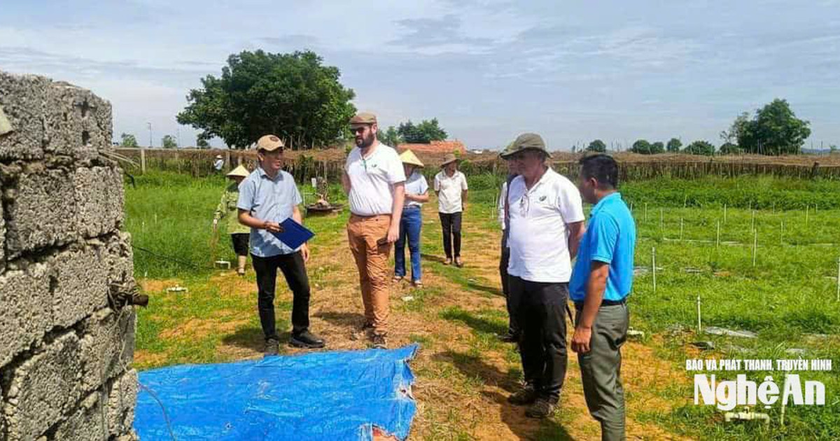 Thống nhất kiện toàn mô hình khuyến nông trước ngày 30/10/2025