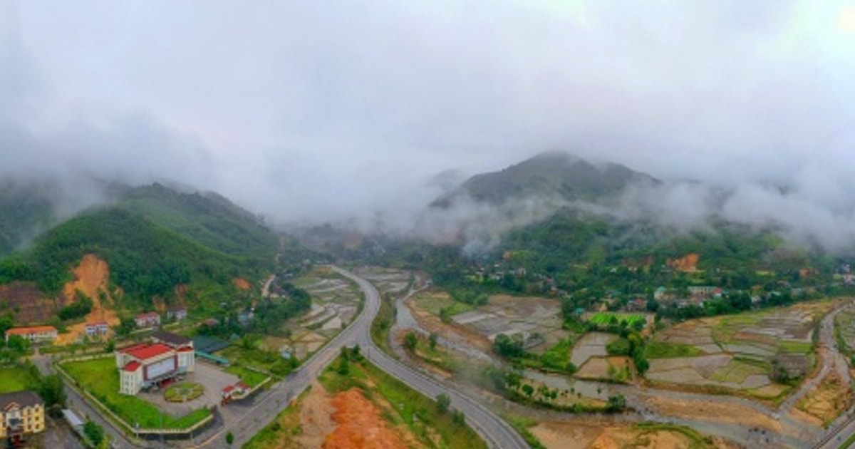 Son Tay Thuong: Admire the beautiful terraced rice fields during the ...
